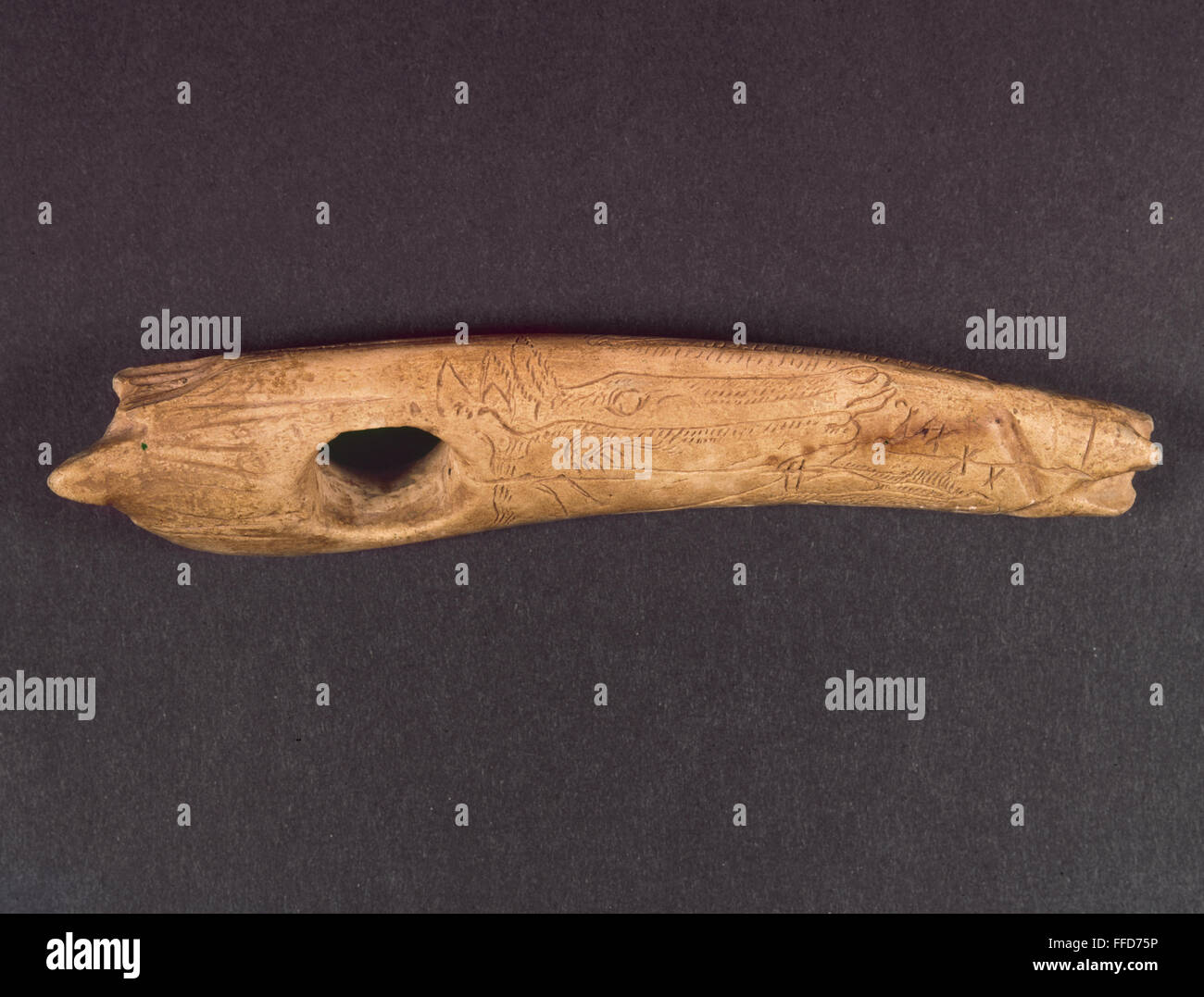 PALEOLITHIC TOOL. /nNative American carved bone tool Stock Photo - Alamy