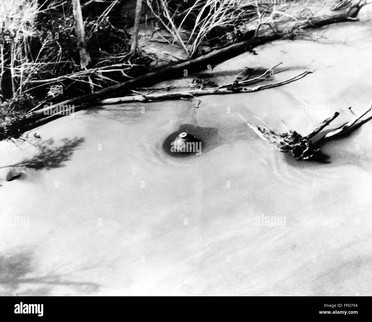 MINE DISPOSAL, 1947. /nA sea mine deployed during World War II seen ...