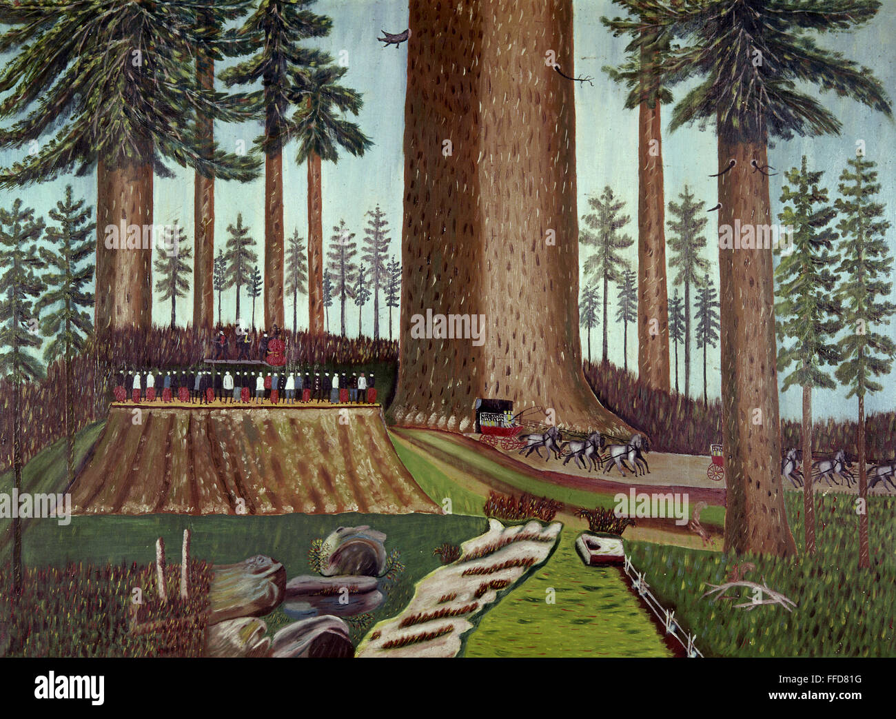 DANCE ON THE SEQUOIA STUMP. /nParty of people dancing on the stump of a ...