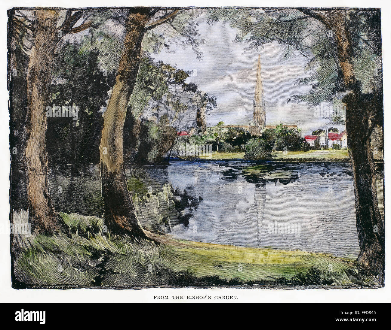 ENGLAND: SALISBURY. /nSalisbury Cathedral from the Bishop's Garden ...