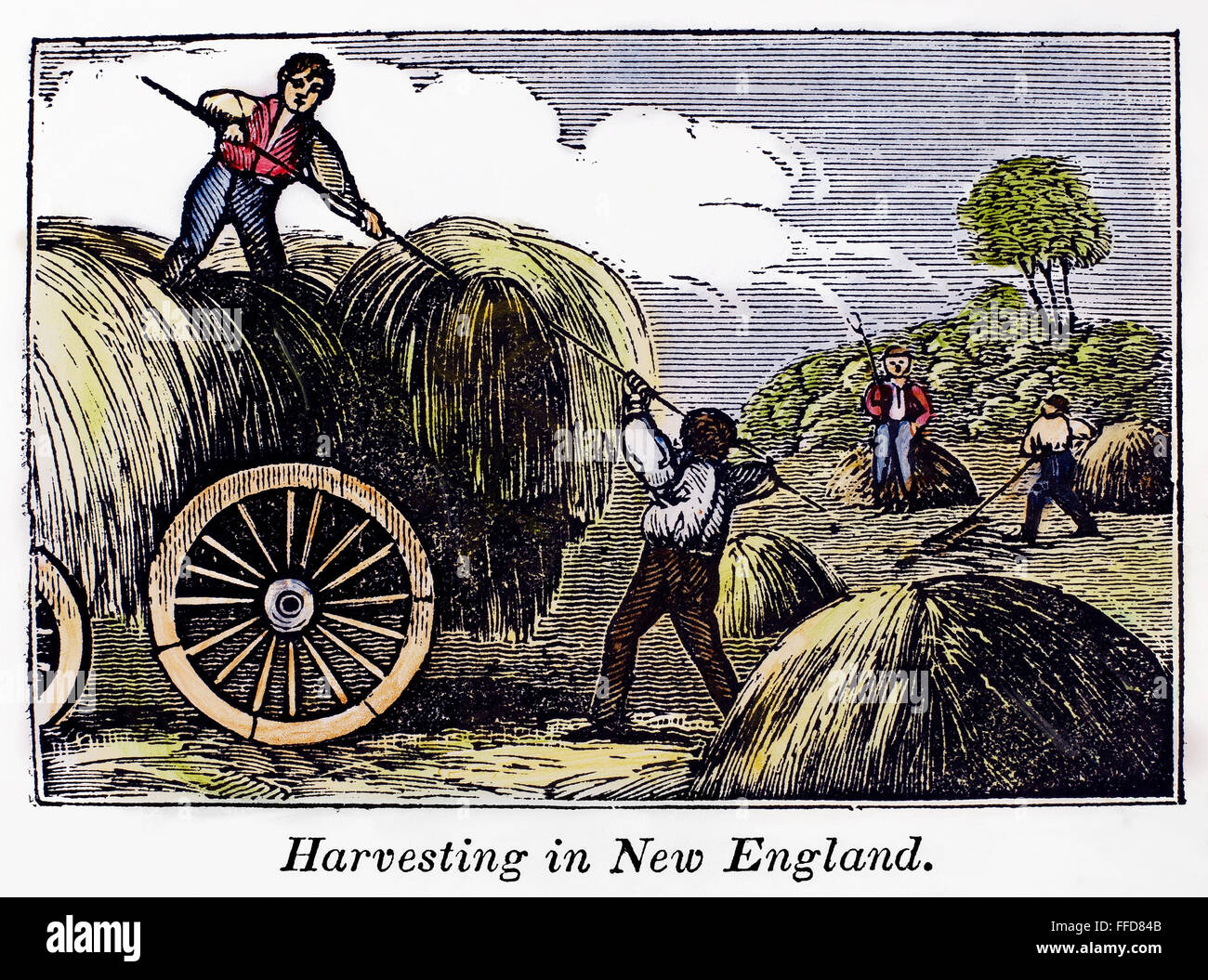 FARMING: HARVEST, 1835. /nHarvesting on a New England farm. Wood ...