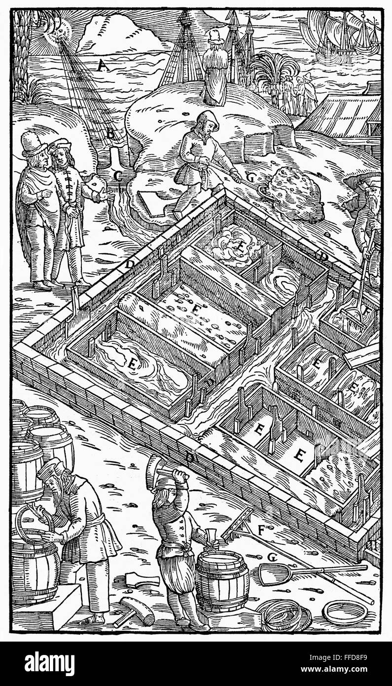 SALT MINING, 1556. /nThe production of salt in a salt marsh. Woodcut ...