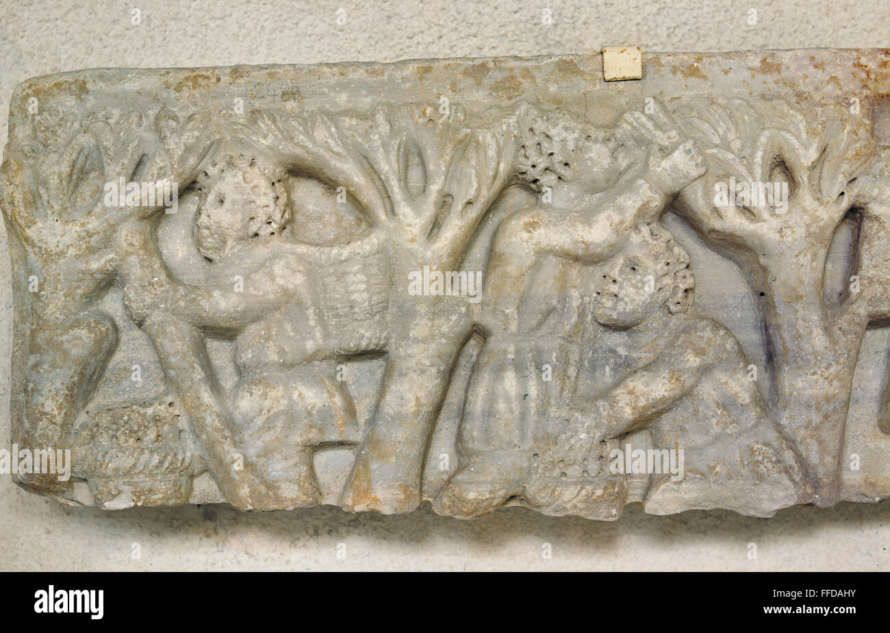 SPAIN: ANCIENT FARMING. /nIberian peasants harvesting olives under ...