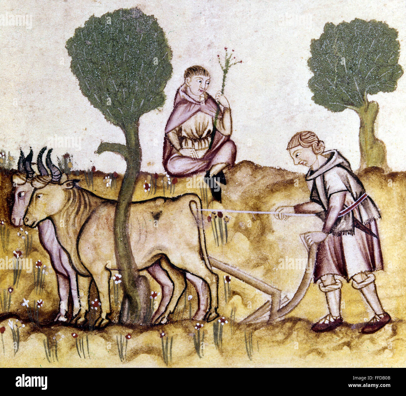 SPAIN: MEDIEVAL PLOUGHING. /nA father watches a son plough behind oxen ...