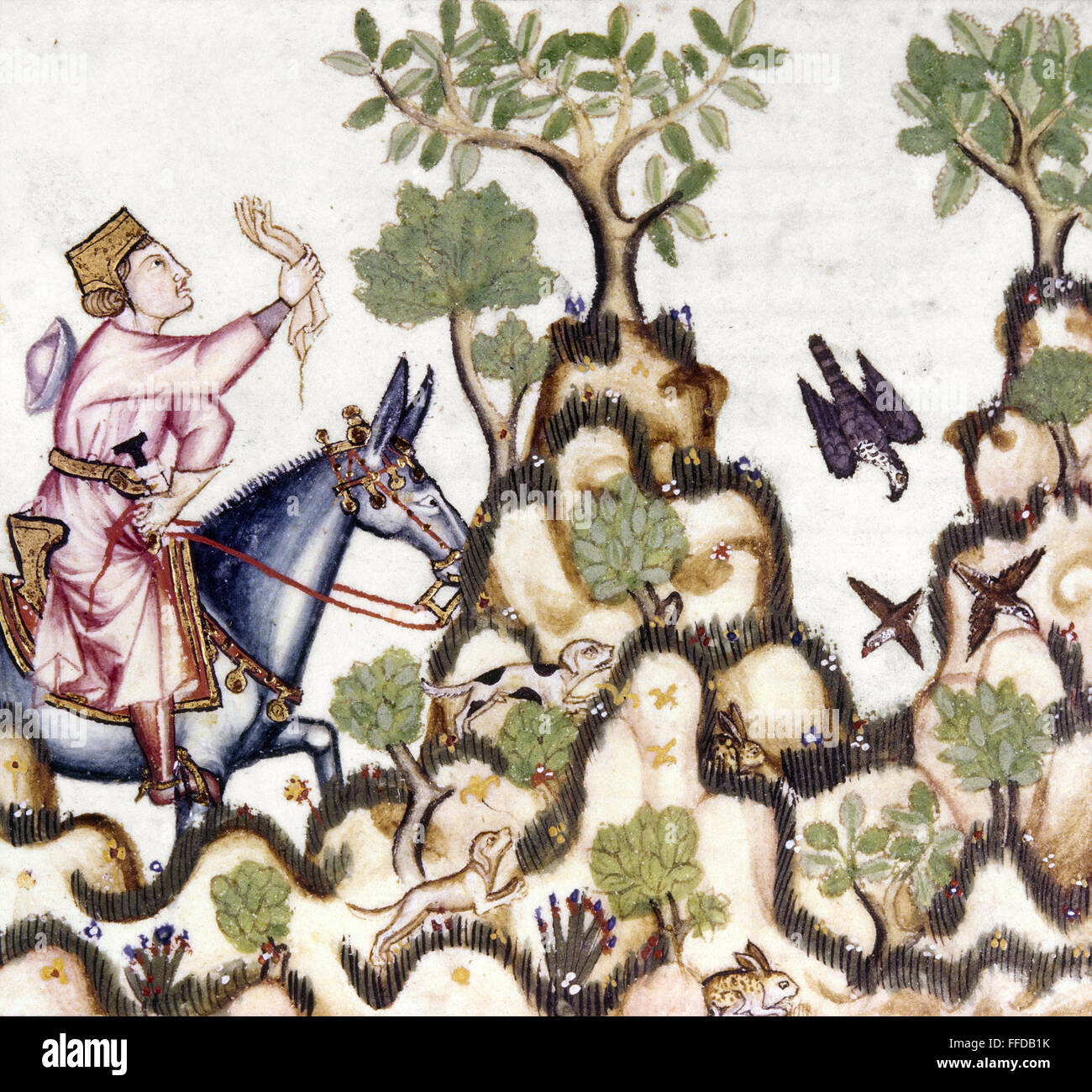 HAWKING, 13th CENTURY. /nManuscript illumination, 13th century, from ...
