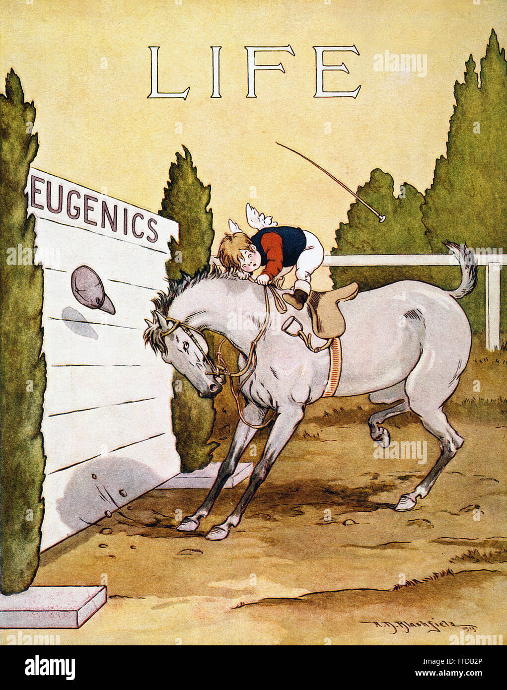 EUGENICS: MAGAZINE COVER. /nCover of 'Life' magazine, 26 February 1914 ...
