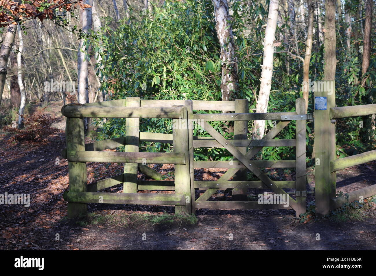 Near Woking Stock Photos & Near Woking Stock Images - Alamy