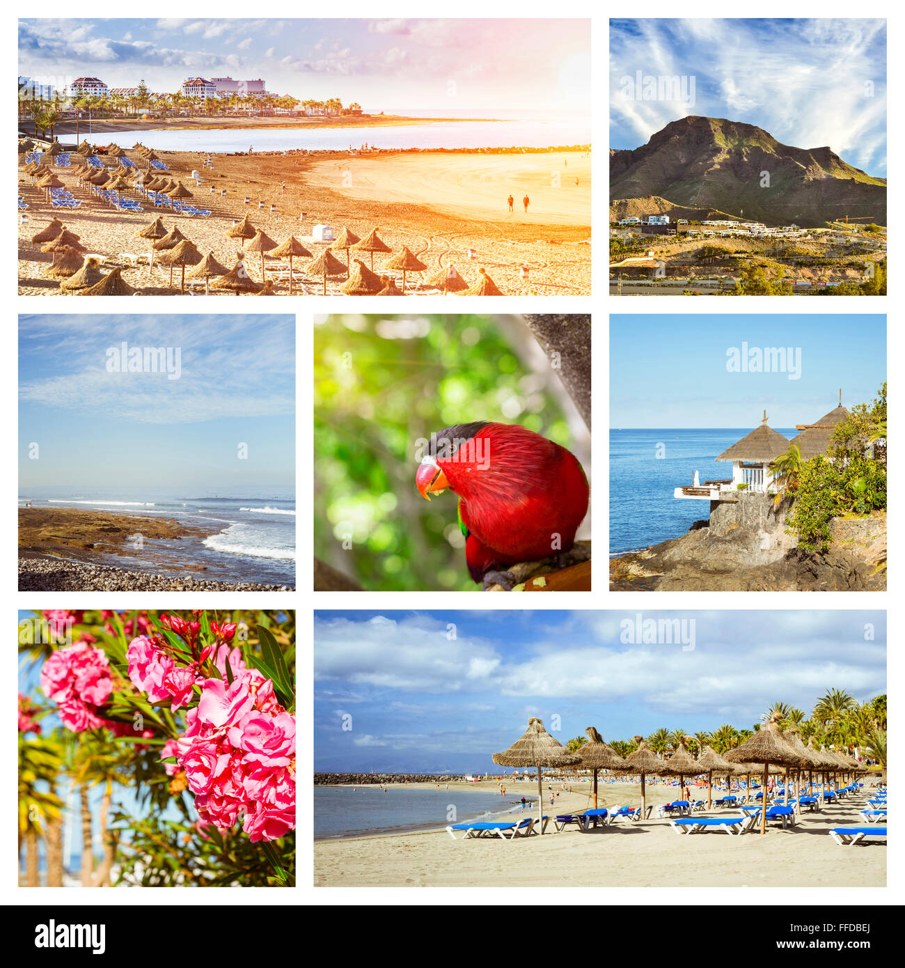 Tropical beach collage hi-res stock photography and images - Alamy