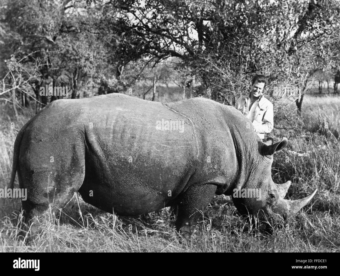 ROBERT CULP (1930- ). /nAmerican actor. Culp approaching a wild white ...