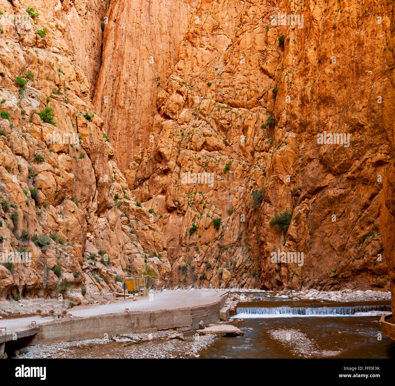 in todra gorge morocco africa and river Stock Photo - Alamy