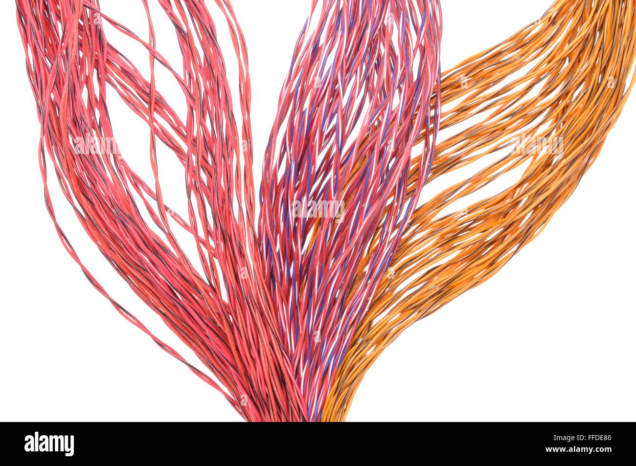 Data transmission in colorful computer cables isolated on white ...