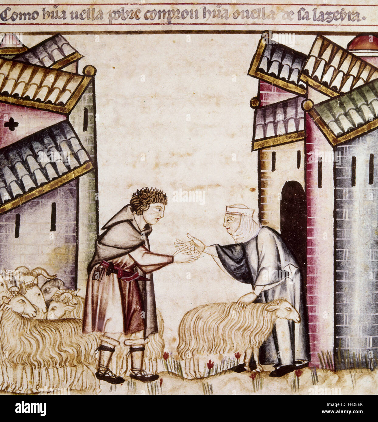 SPAIN: MEDIEVAL SHEPHERD. /nA shepherd receives pay for selling one of ...