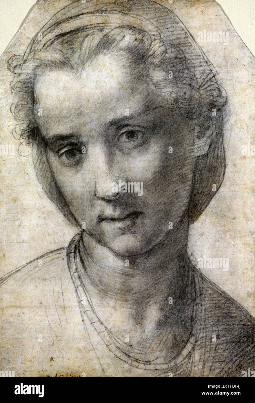 DEL SARTO: FEMALE HEAD. /nStudy done in black chalk by Andrea del Sarto ...
