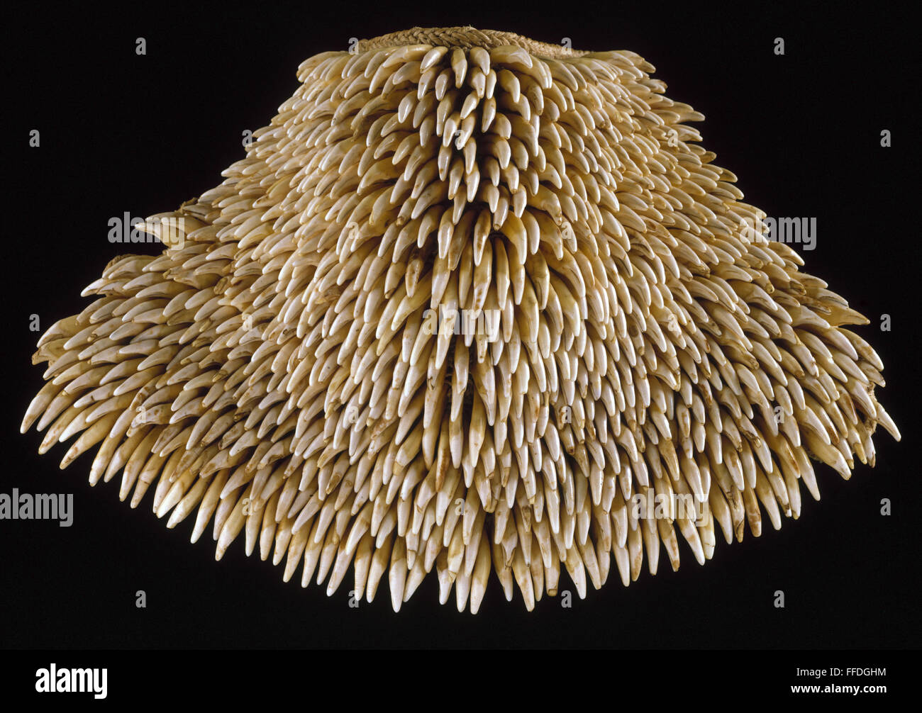 HAWAII: DOG TOOTH ANKLET. /nHawaiian, 19th century Stock Photo - Alamy