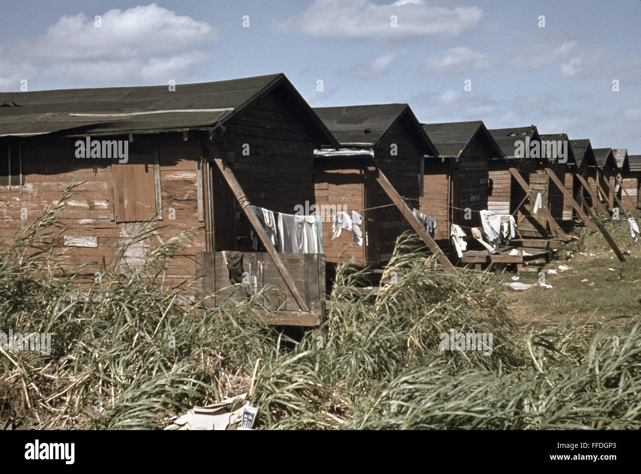 MIGRANT VILLAGE, 1941. /nHouses which had been condemned by the Board ...