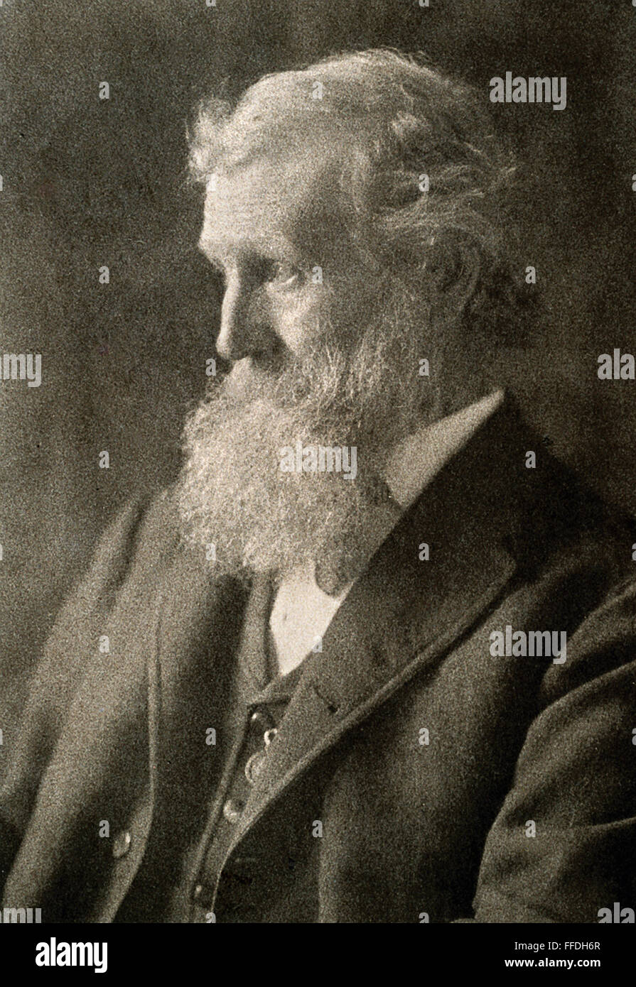 John muir naturalist hi-res stock photography and images - Alamy