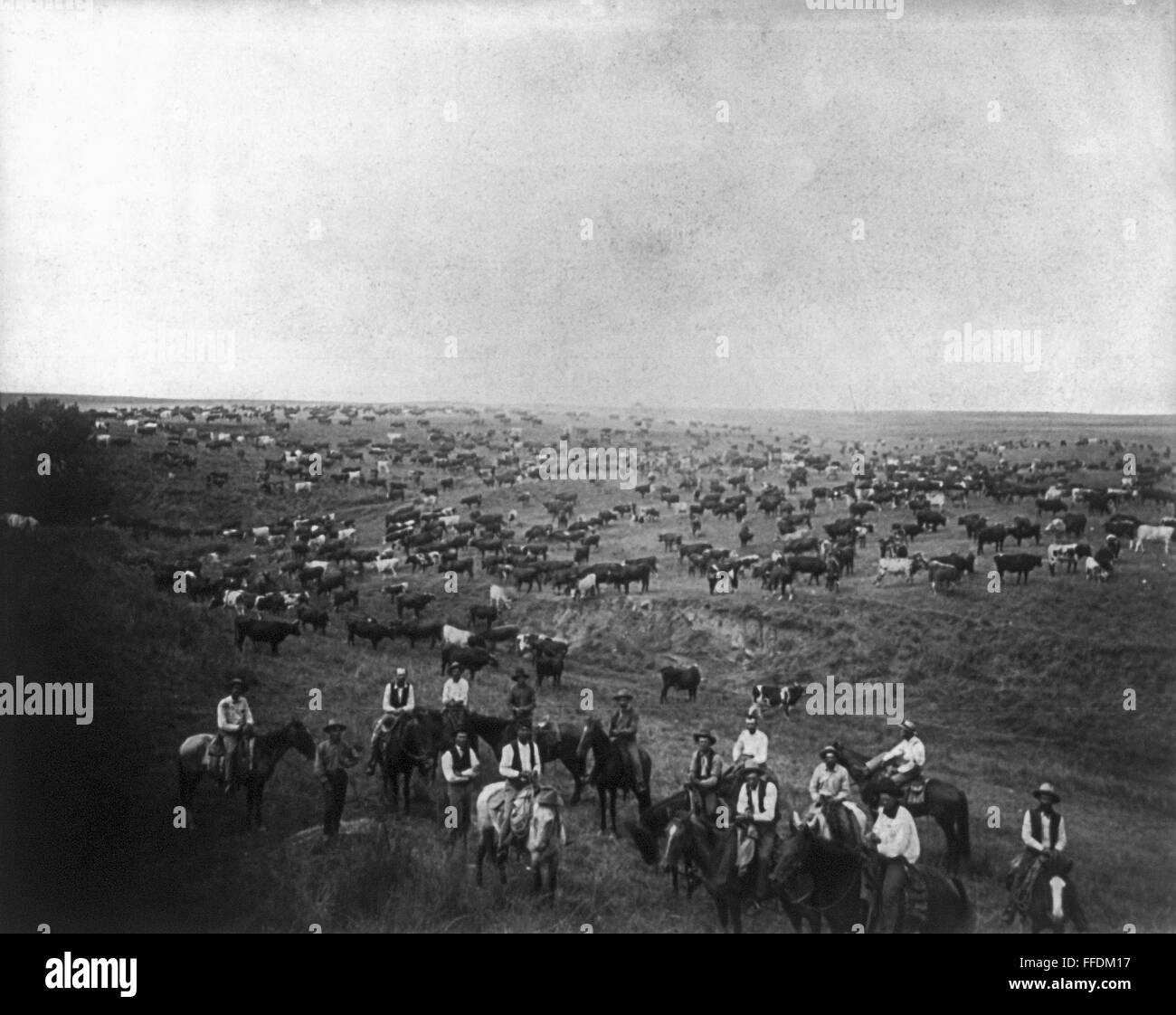 CATTLE RANCH, c1905. /n'Where We Shine.' Cowboys and cattle on a range ...