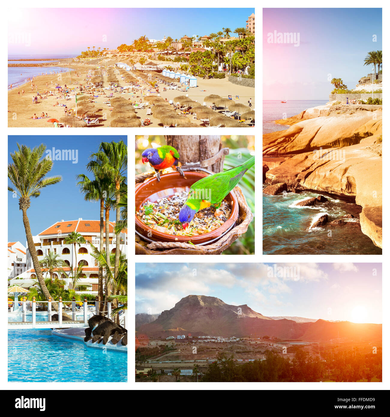 Sunny summer beach travel vacation. Collage with popular types of ...