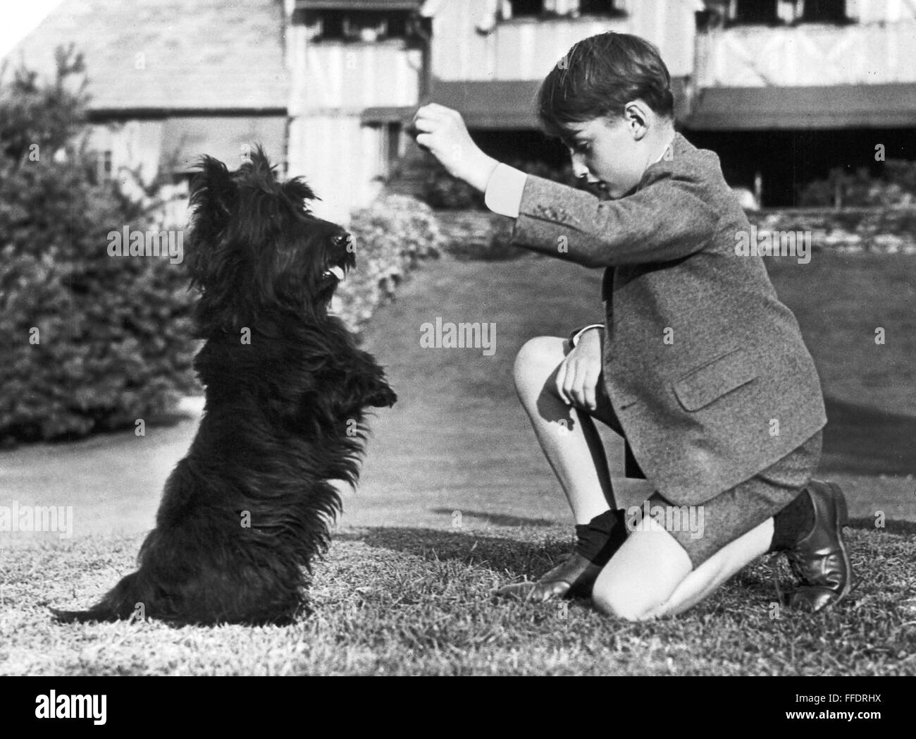 FALA & PRINCE, 1944. /nFala, President Franklin Delano Roosevelt's ...