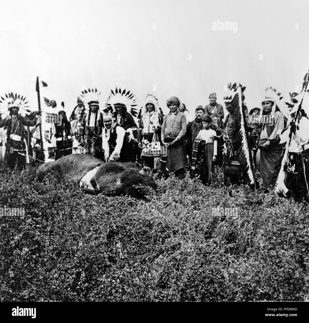 GERONIMO (1829-1909). /n'Geronimo's last buffalo.' The Apache leader ...