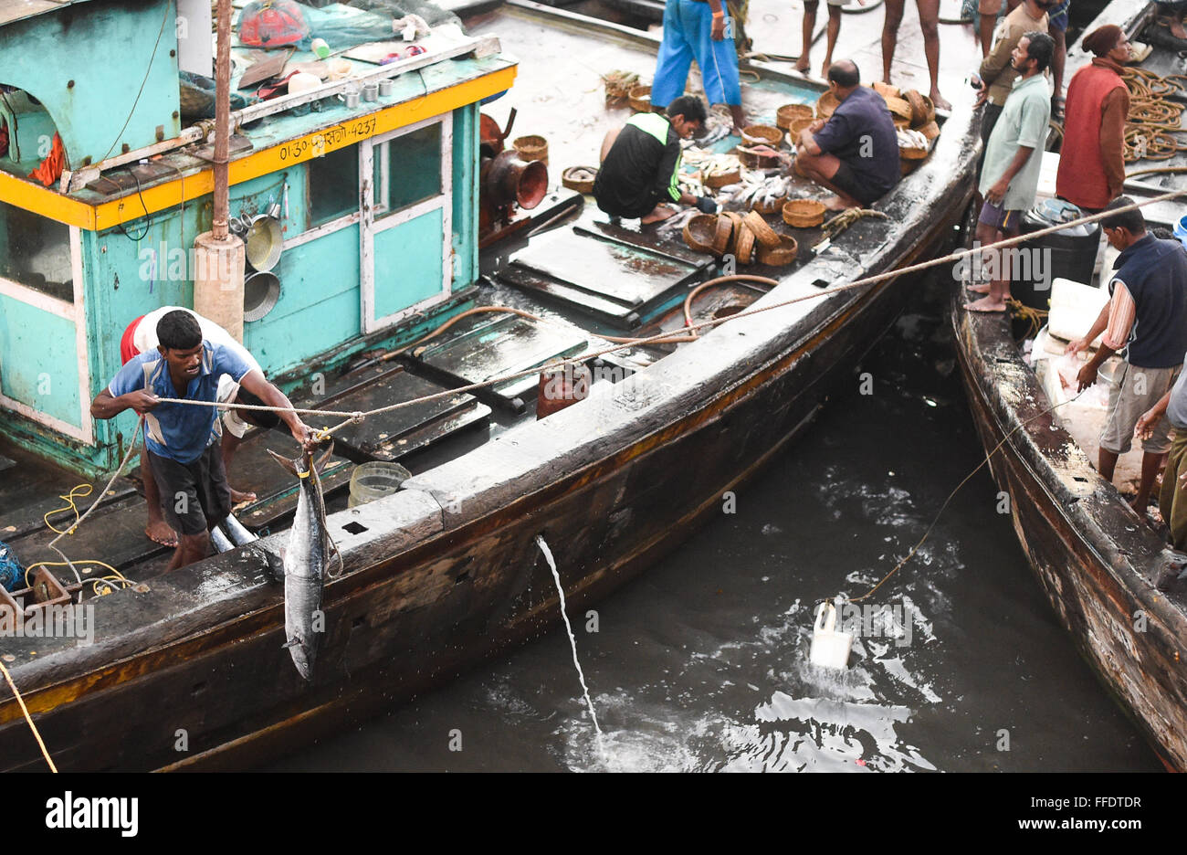 Live fish transport hi-res stock photography and images - Alamy