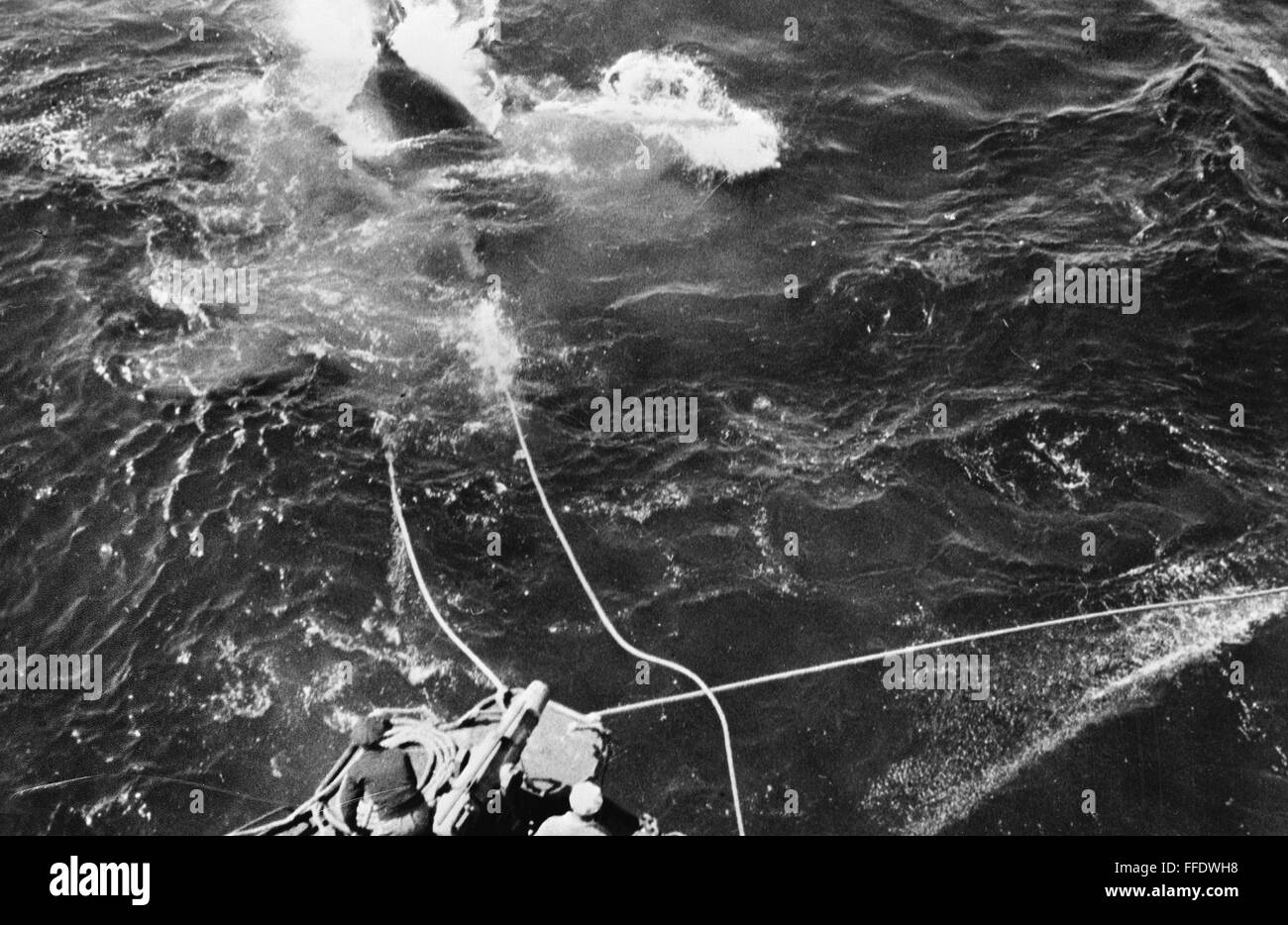 WHALING, c1935. /nTwo gunners on a whaling ship hauling in harpooned ...