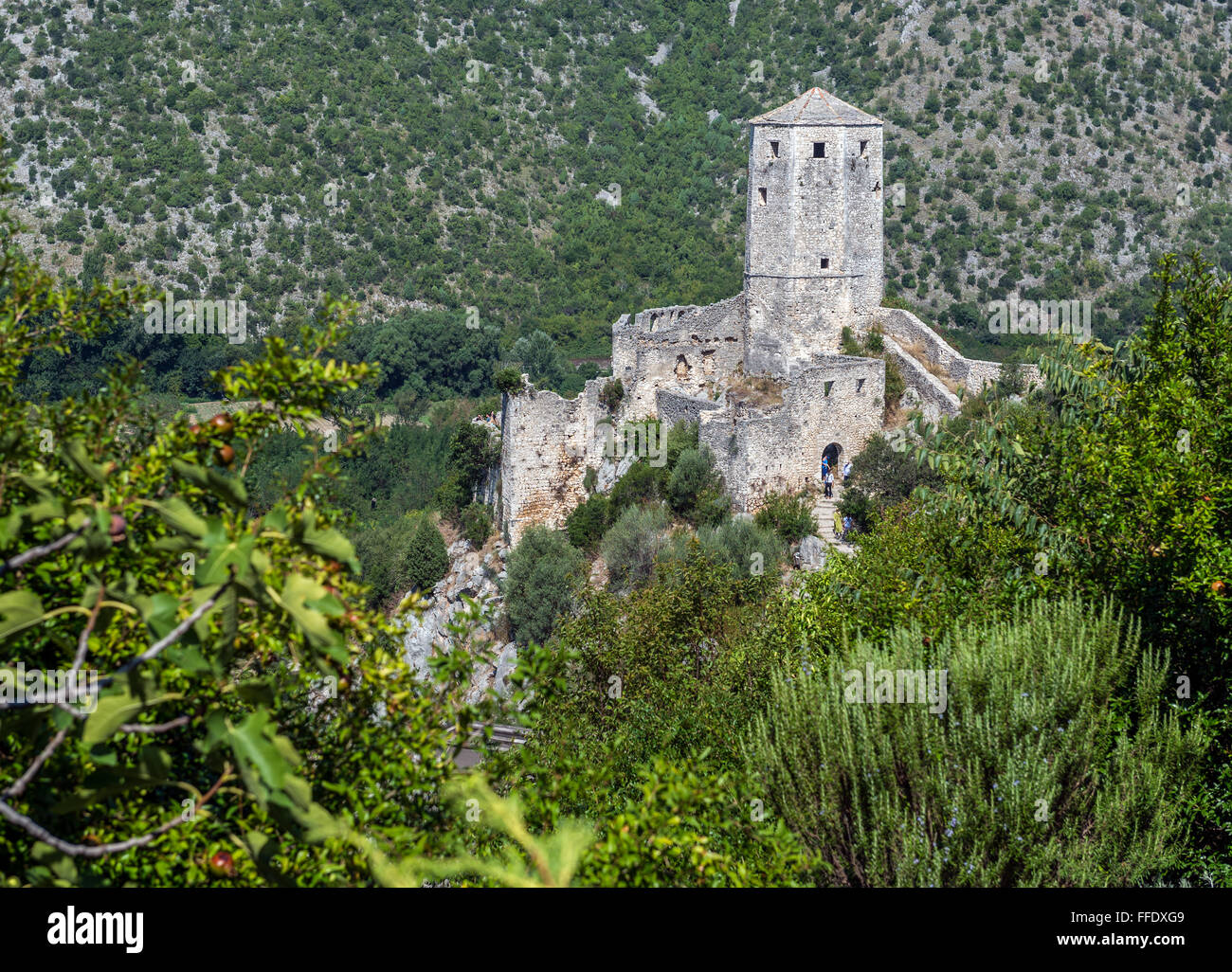 King tvrtko i hi-res stock photography and images - Alamy