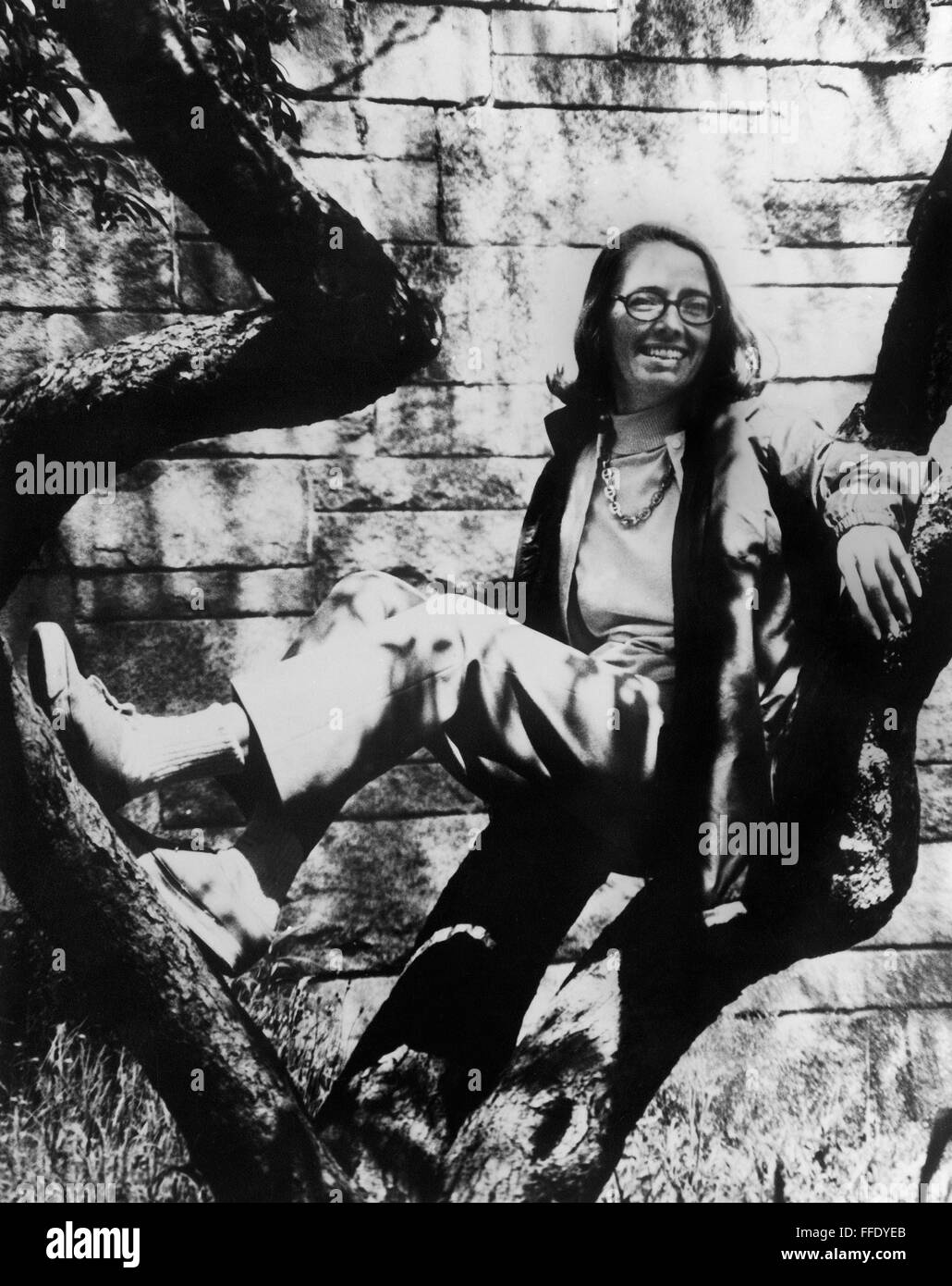 JANE HOWARD (1935-1996). /nAmerican writer. Photograph by David ...