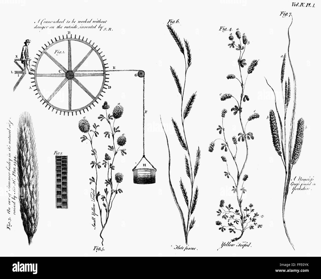 MUSEUM RUSTICUM, 1765. /nIllustrations from 'Museum Rusticum Et ...