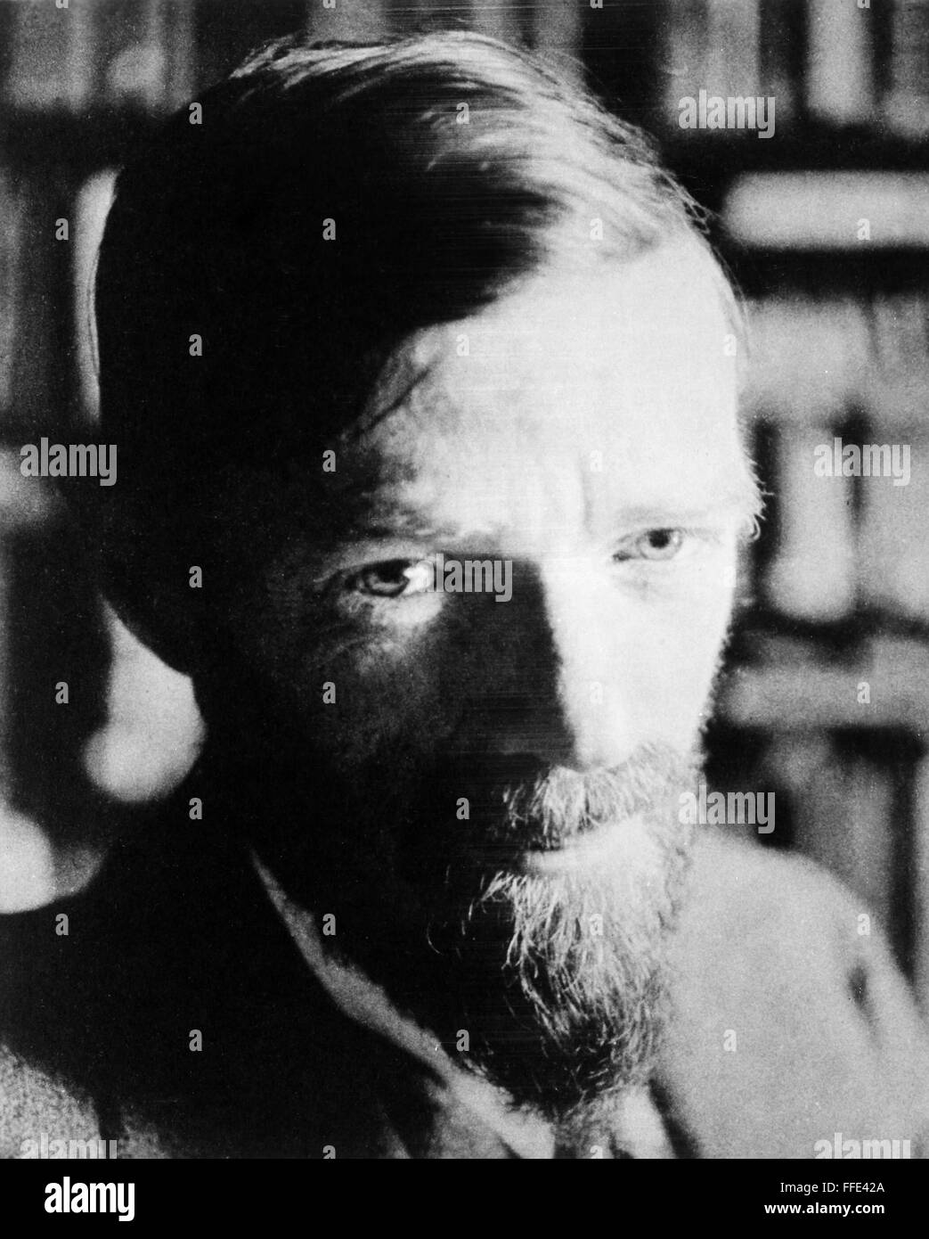 DAVID HERBERT LAWRENCE /n(1885-1930). English novelist. Photograph ...