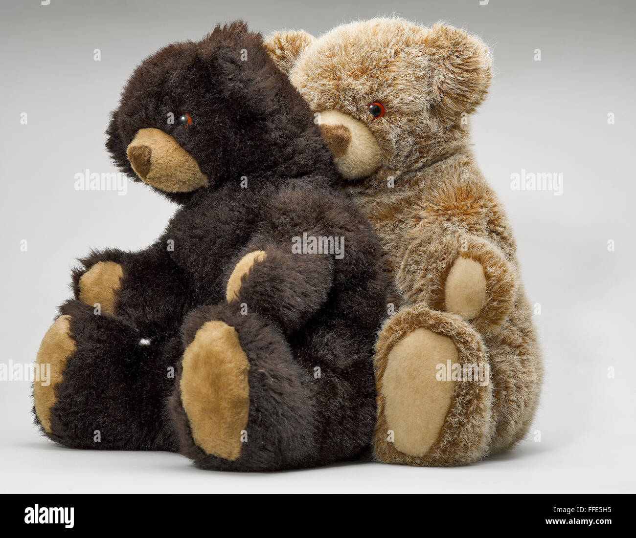 Small teddy bear hi-res stock photography and images - Alamy