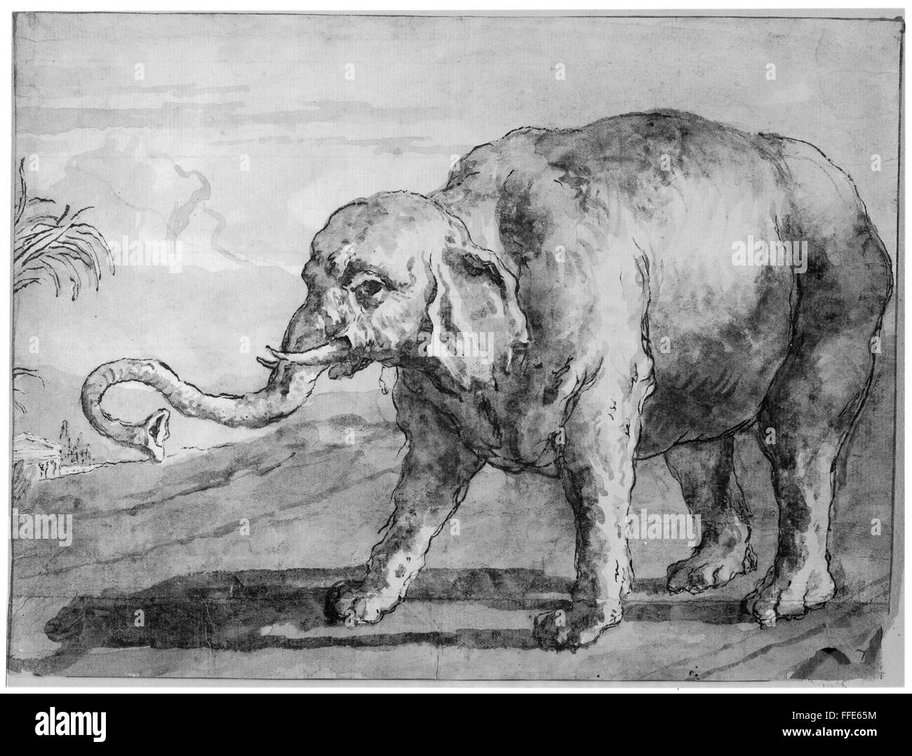 TIEOPOLO: ELEPHANT. /nPen, brown ink and wash by Giovanni Domenico ...