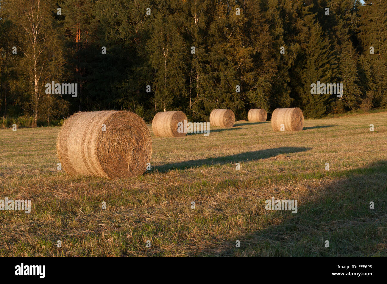 Round Bales High Resolution Stock Photography and Images - Alamy