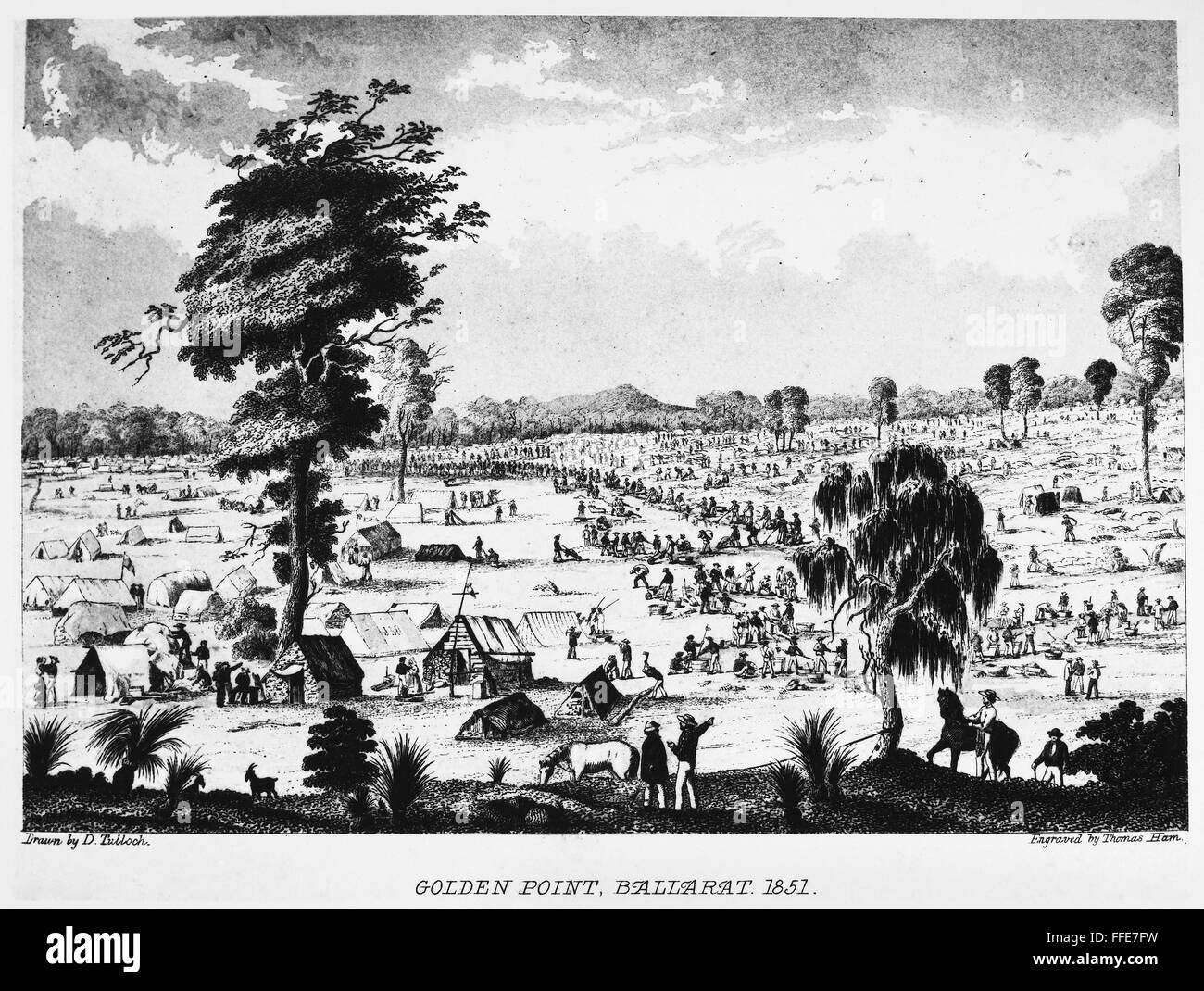 AUSTRALIA: GOLD RUSH, 1851. /nThe Golden Point mining camp at Ballarat ...