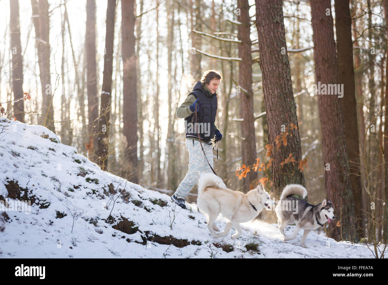 Man walking with husky dogs in winter forest Stock Photo - Alamy