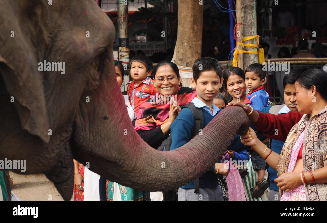 Guwahati, India's northeastern state of Assam. 12th Feb, 2016. Devotees ...