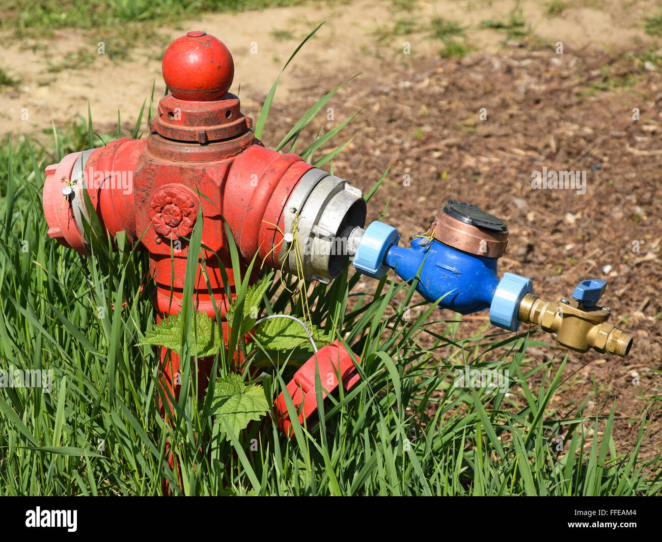 Park hydrant hi-res stock photography and images - Alamy
