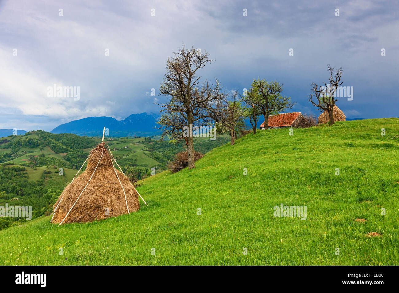 Hay in village background hi-res stock photography and images - Alamy