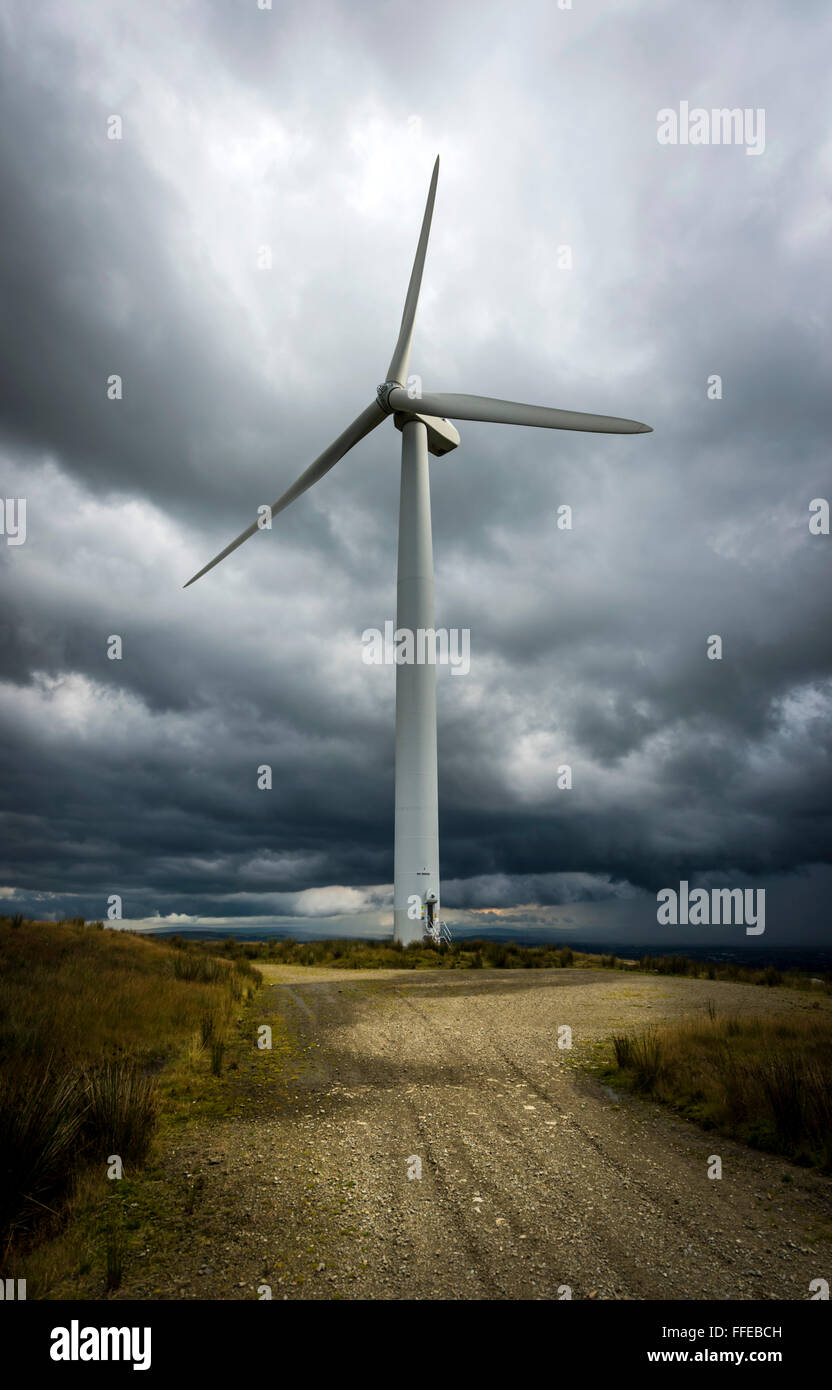 Falcon & Tower in Eclipse Stock Photo - Alamy