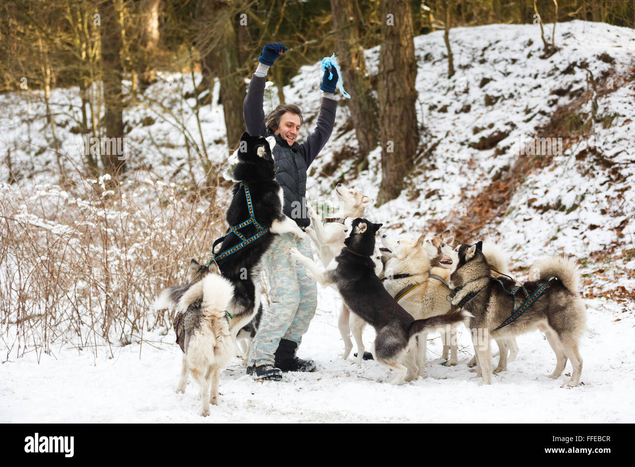 Man feeding his dogs hi-res stock photography and images - Alamy