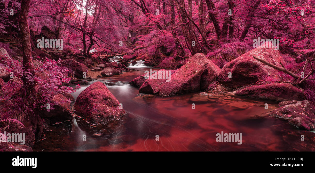 Stunning surreal alternate landscape of river flowing through forest ...