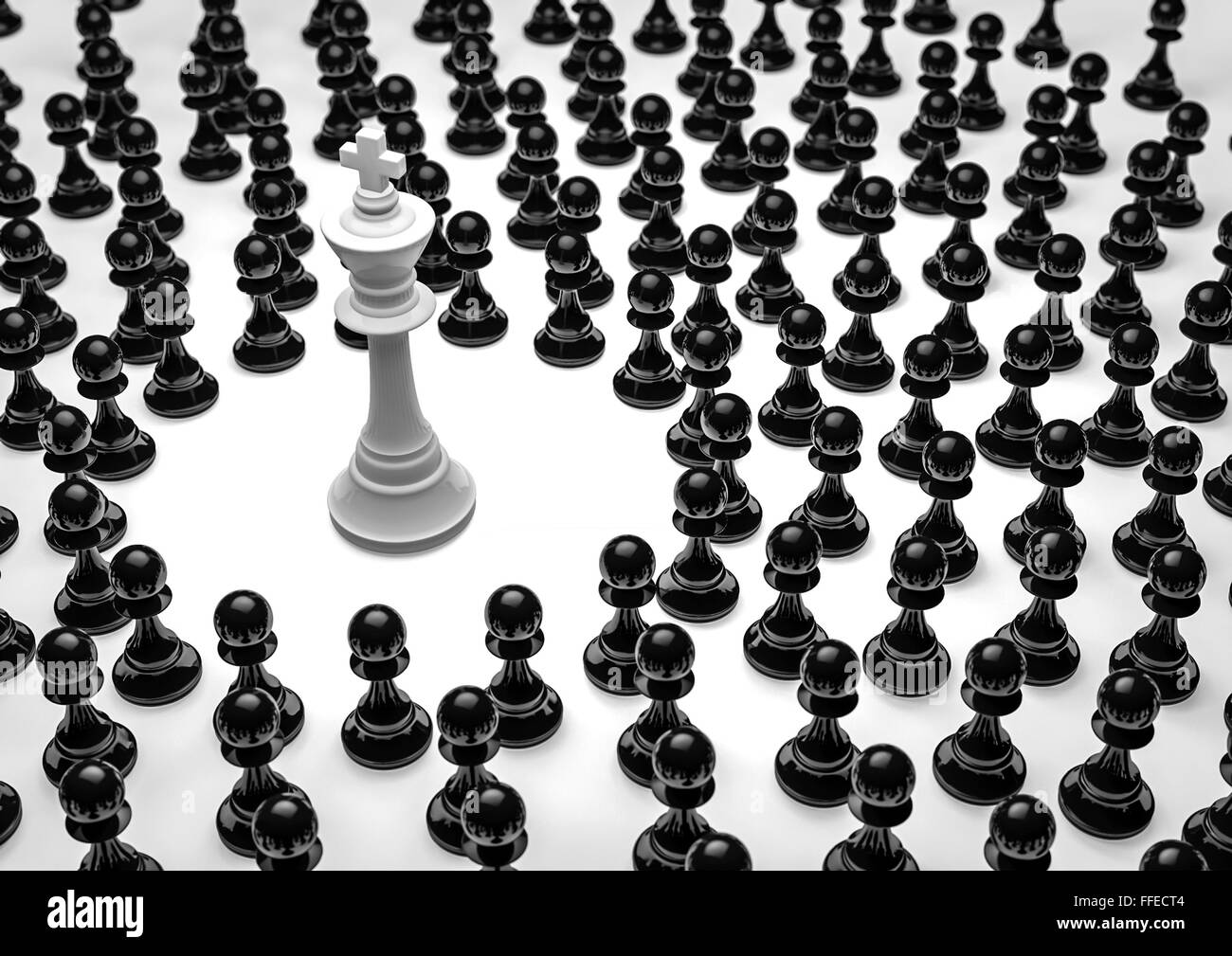 Chess King Photography