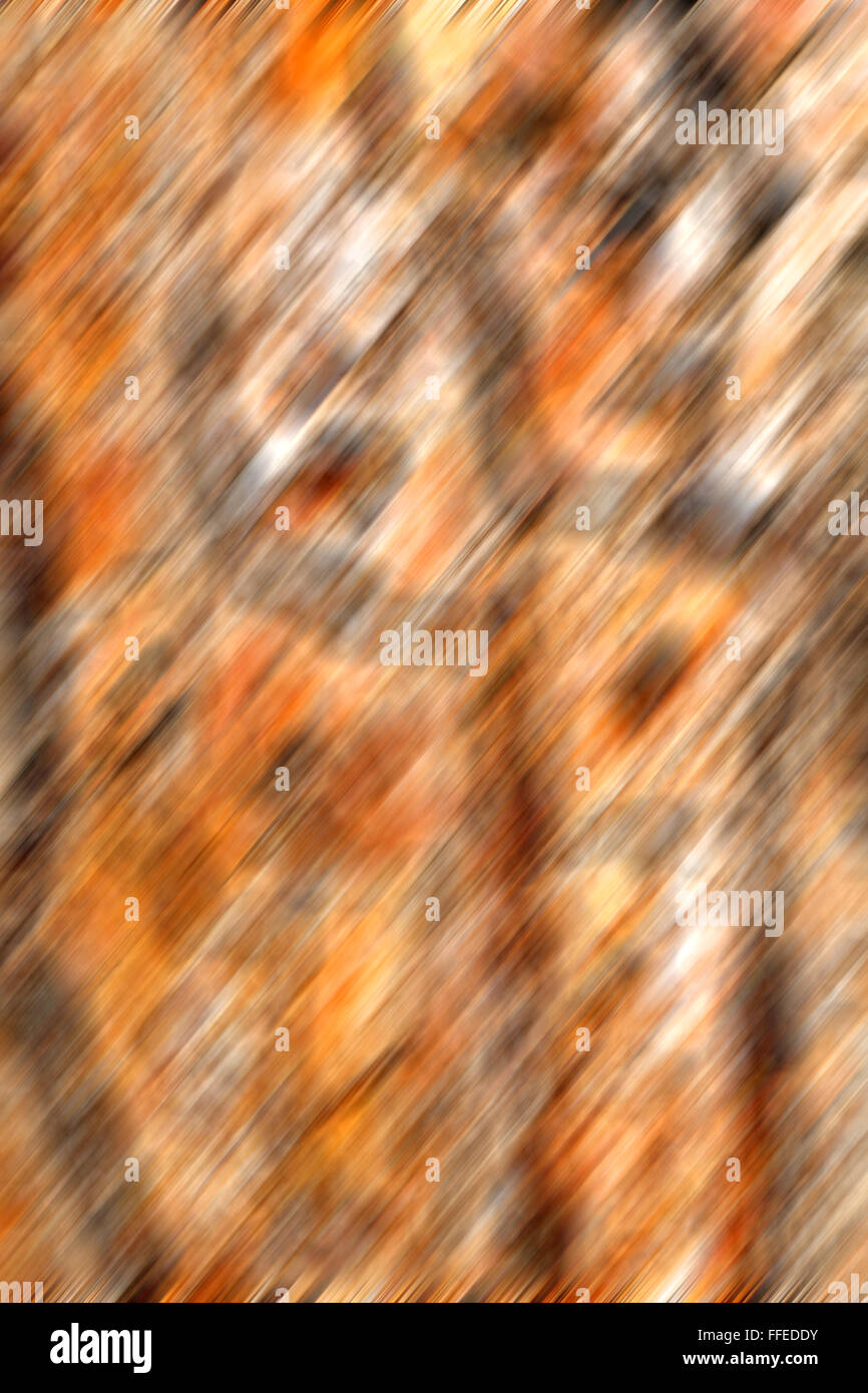 barck in the abstract close up of a tree color and texture Stock Photo ...