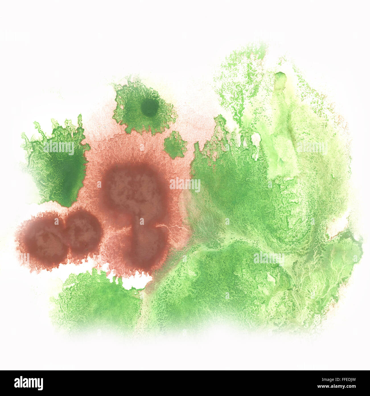 ink abstract watercolor green brown blot splash watercolour isolated on ...