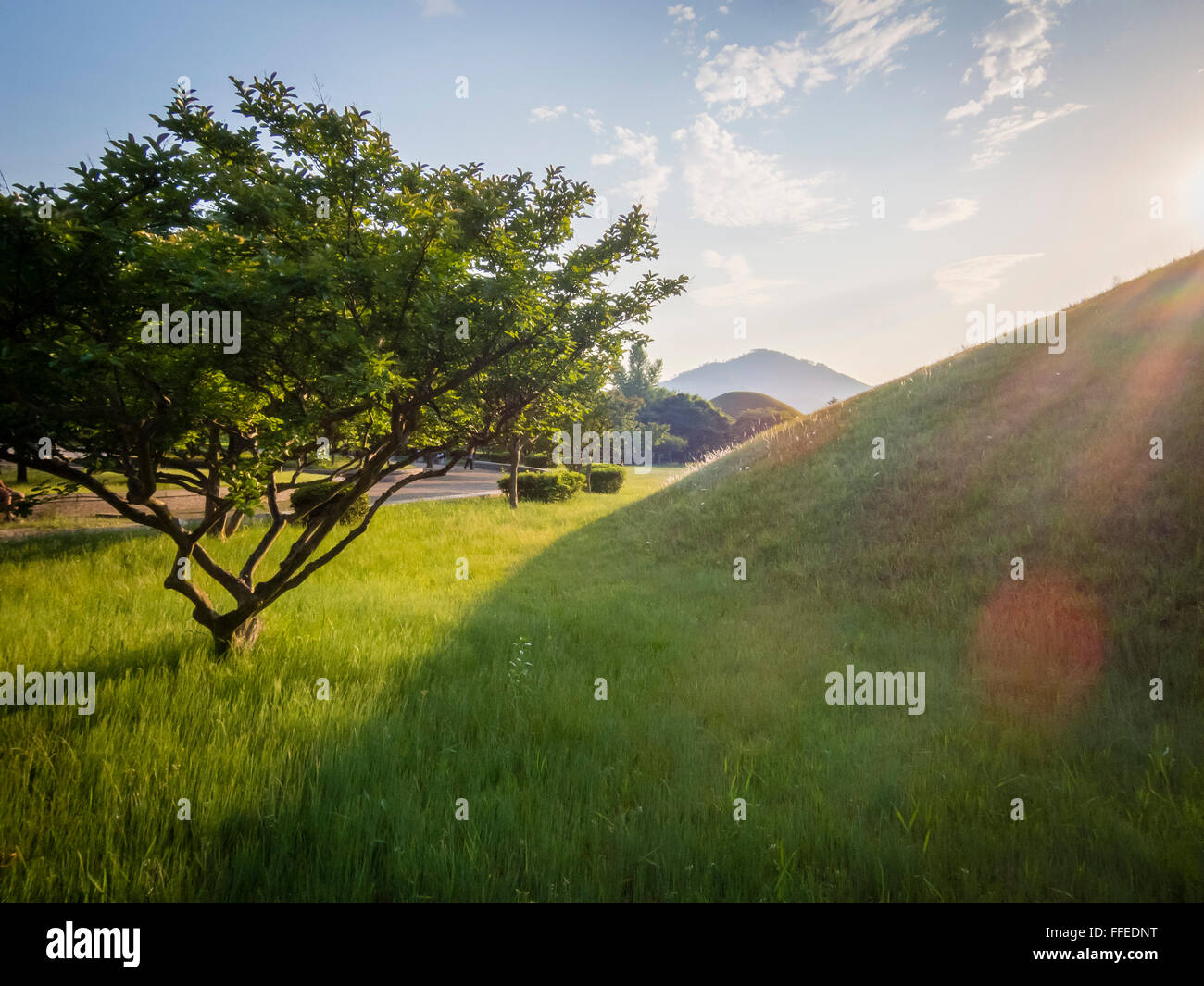Grass hill sun hi-res stock photography and images - Alamy
