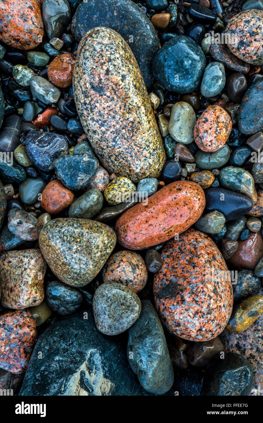 Wet, water polished rocks on a beach in Acadia National Park, Mount ...
