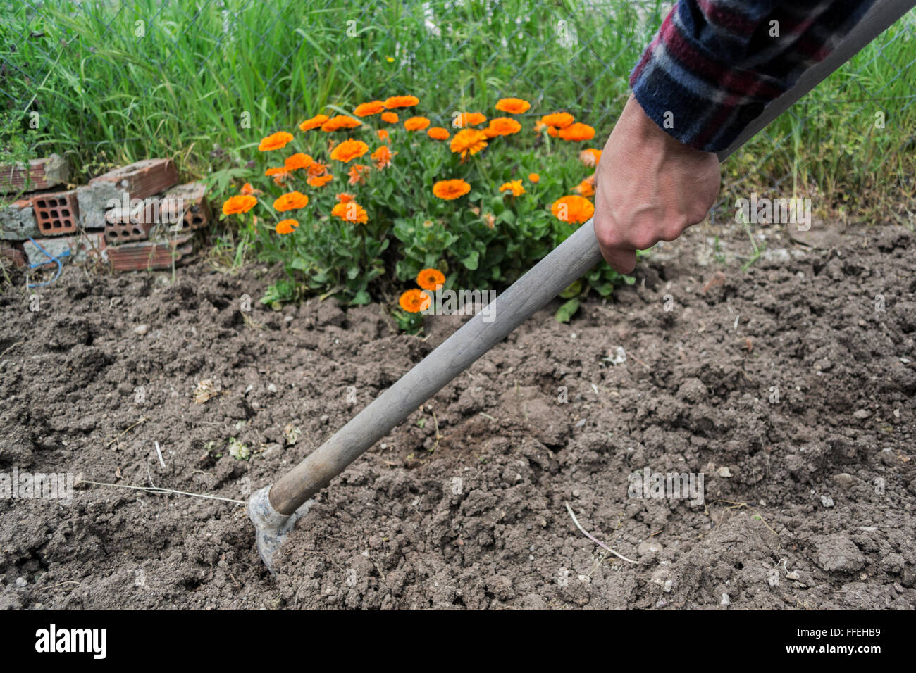 Digging soil with hoe Stock Photo - Alamy