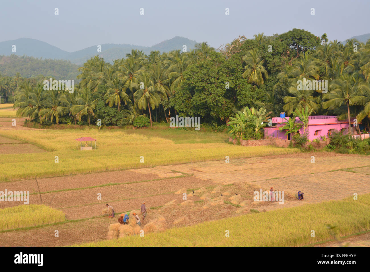 Goa, India - October 23, 2015 - Family members working with their hands ...