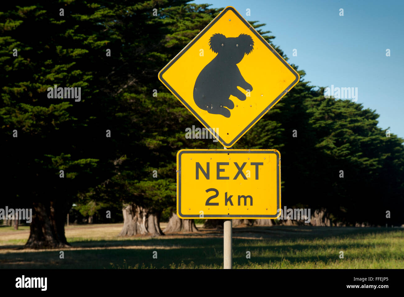 Koala warning signs hi-res stock photography and images - Alamy
