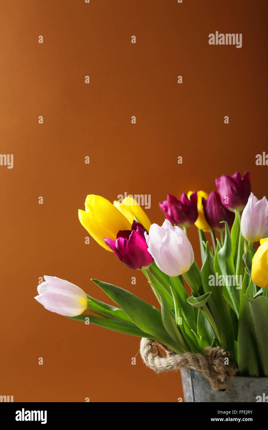 Tulips in bucket hi-res stock photography and images - Alamy